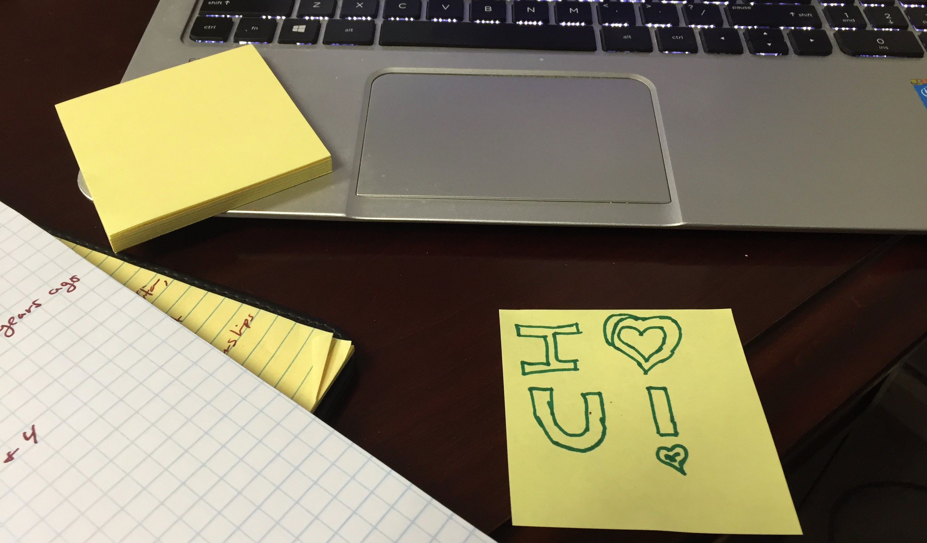 Notes in the Litter – Beyond Words